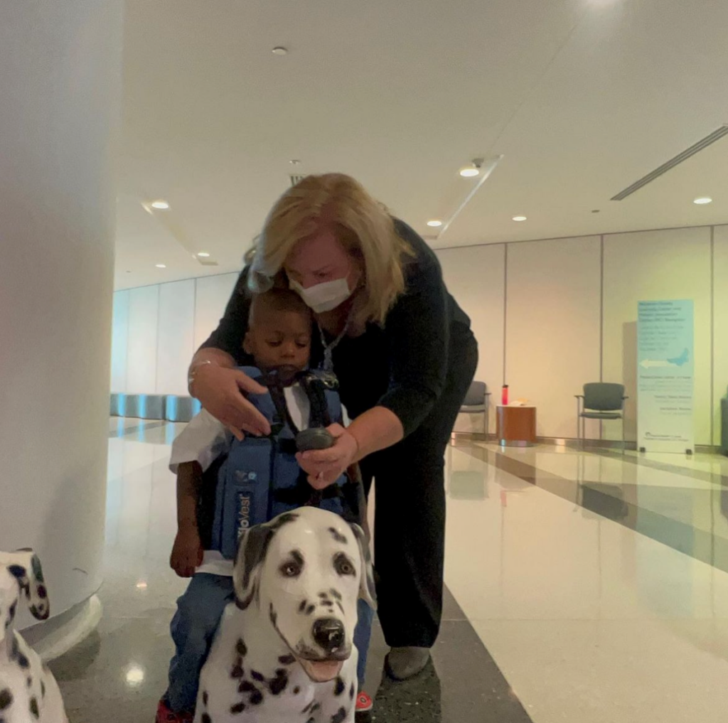 Lea Marie Farone Foundation – Helping children and young adults with ...